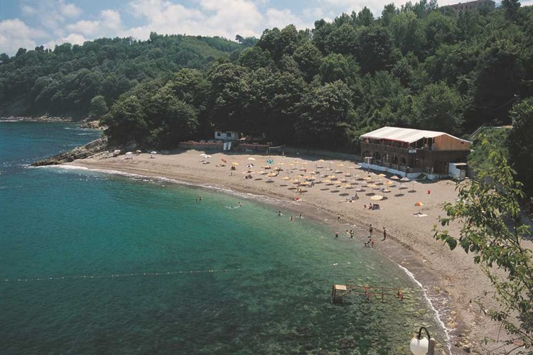 81 Plaka Hangi İle Bağlı? - Güncel Oku