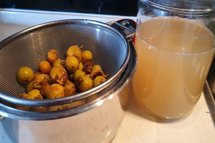 Ahlat Armudu Sirkesi Faydaları Nelerdir? - Güncel Oku