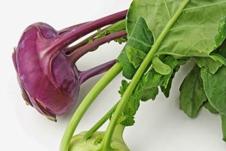 Alabaş Turp Nerede Bulunur? - Güncel Oku