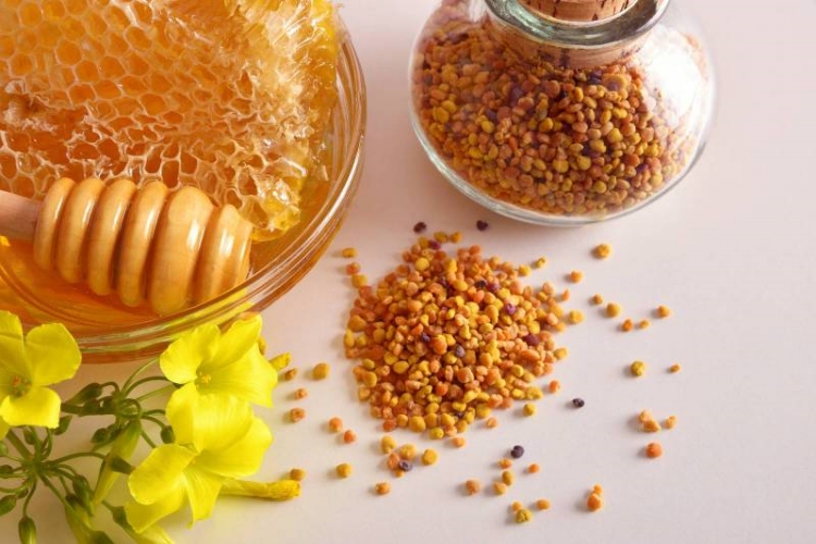 Arı Poleni Nasıl Toplanır? - Güncel Oku