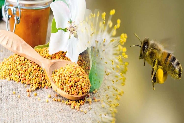 Arı Poleni Nasıl Tüketilir? - Güncel Oku