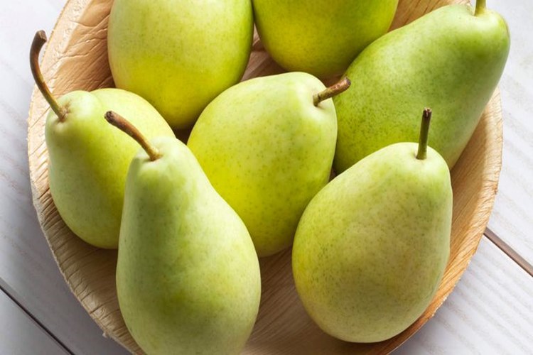 Armut Ağacı Kök Yapısı Nasıl Olmalı? - Güncel Oku