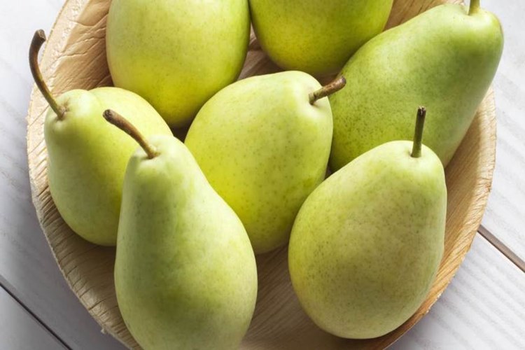 Armut Çekirdeğinin Özellikleri Nelerdir? - Güncel Oku