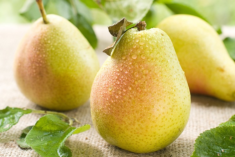 Armut Kaç Günde Bozulur? - Güncel Oku