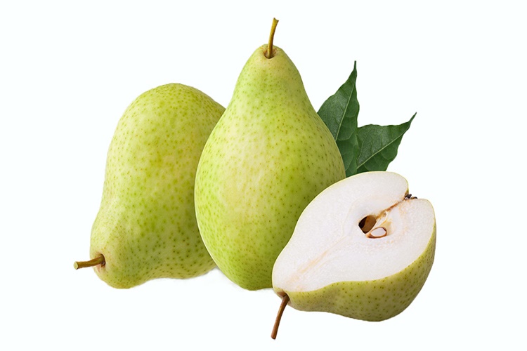 Armut Ne Zaman Toplanır? - Güncel Oku