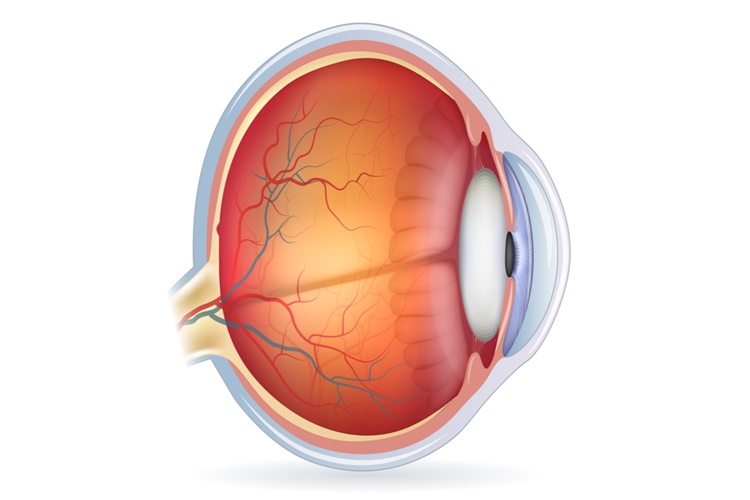 Astigmat Gece Nasıl Görür? - Güncel Oku