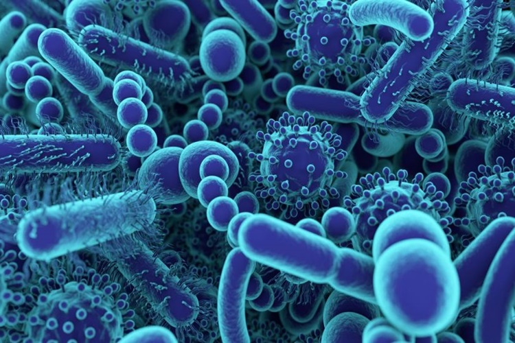 Bakteri ve Virüs Arasında Ne Fark Var? - Güncel Oku