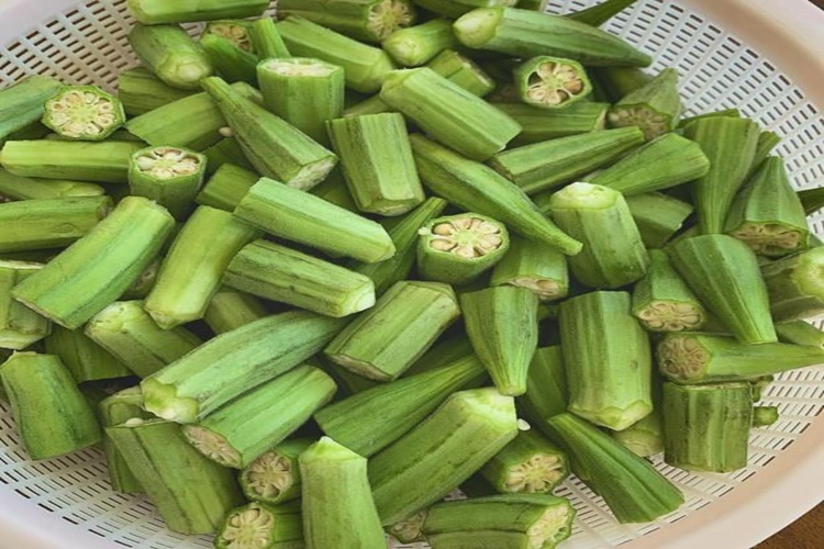 Bamya Hangi Ayda Çıkar? - Güncel Oku