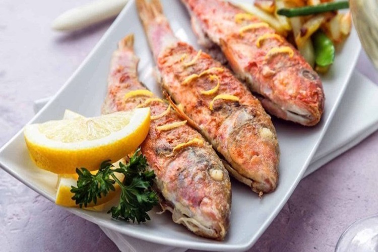 Barbun Balığı Nedir? - Güncel Oku
