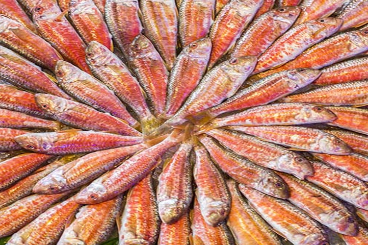 Barbun Balığı Buğulama Nasıl Yapılır? - Güncel Oku