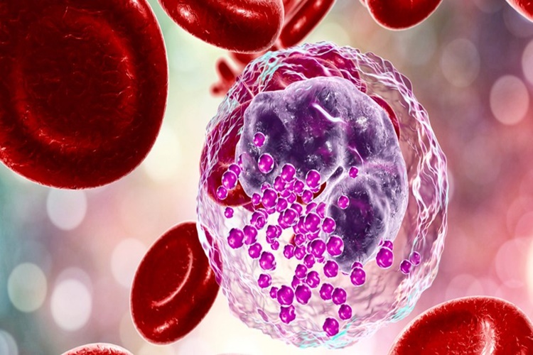 Baso Neyi Gösterir? - Güncel Oku