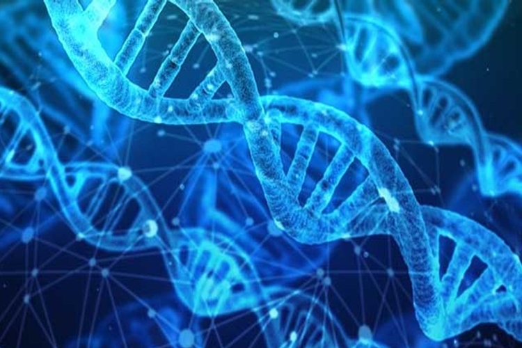 Basur Genetik Midir? - Güncel Oku