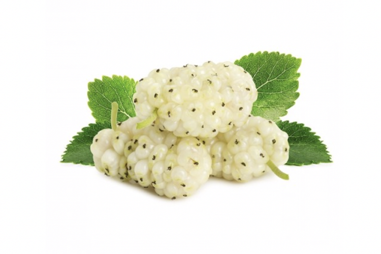 Beyaz Dut Nasıl Kurutulur? - Güncel Oku