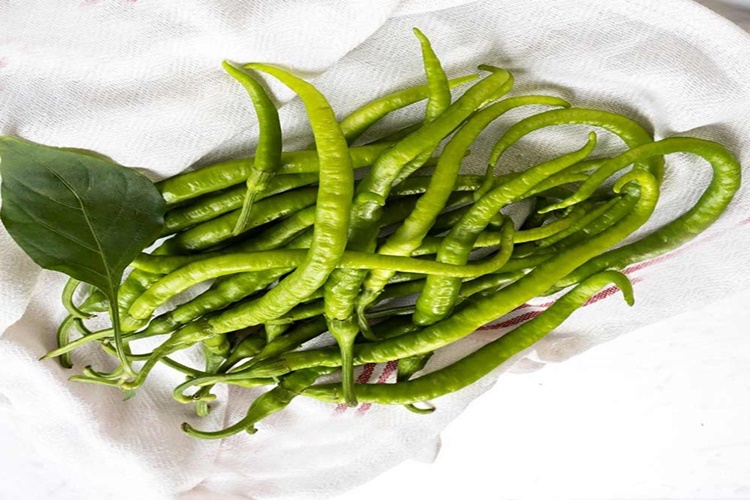 Biber Buzlukta Nasıl Saklanır? - Güncel Oku