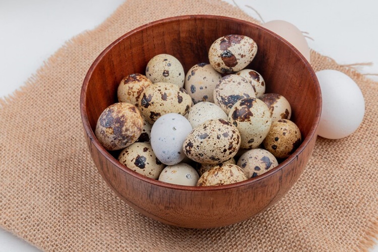 Bıldırcın Yumurtası Nasıl Tüketilir? - Güncel Oku