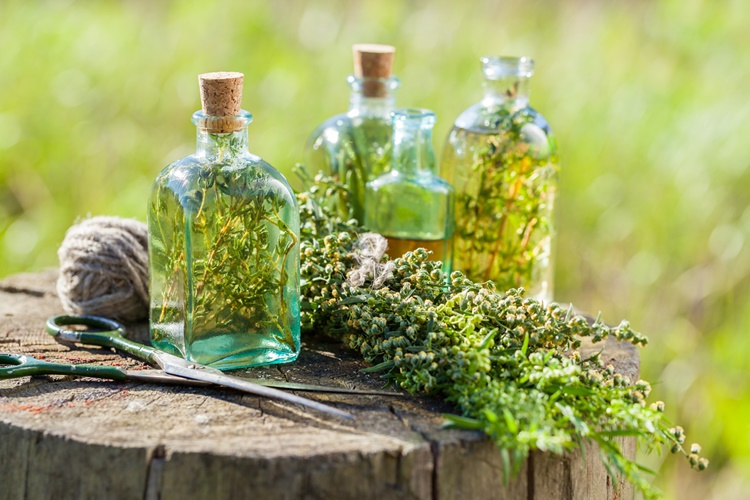 Bitkisel Kür Nedir? - Güncel Oku