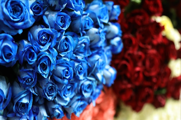 Canlı Çiçekler Nasıl Şoklanır? - Güncel Oku