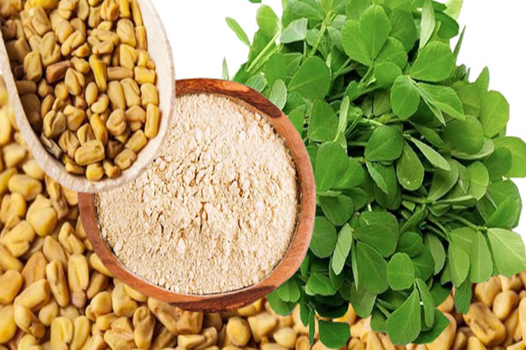 Çemen Otu Tozu Nasıl Tüketilir? - Güncel Oku