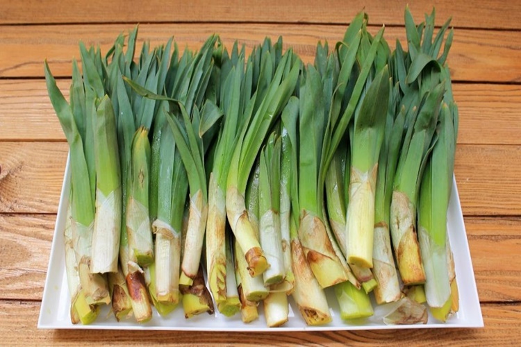 Çiriş Otu Saça Nasıl Uygulanır? - Güncel Oku