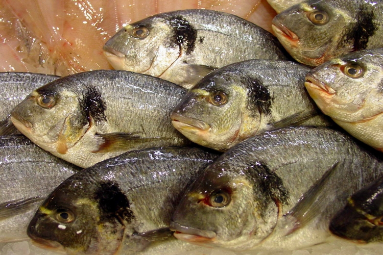 Çupra Dolapta Kaç Gün Bekler? - Güncel Oku