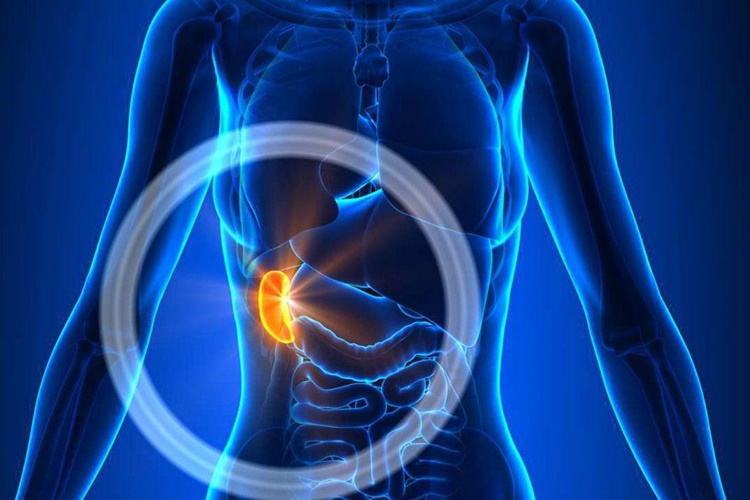 Dalak Büyümesi Hakkında Merak Edilenler - Güncel Oku