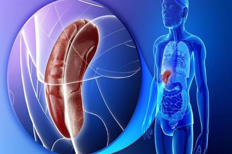 Dalak, Diyafram Ağrısı Nasıl Geçer? - Güncel Oku