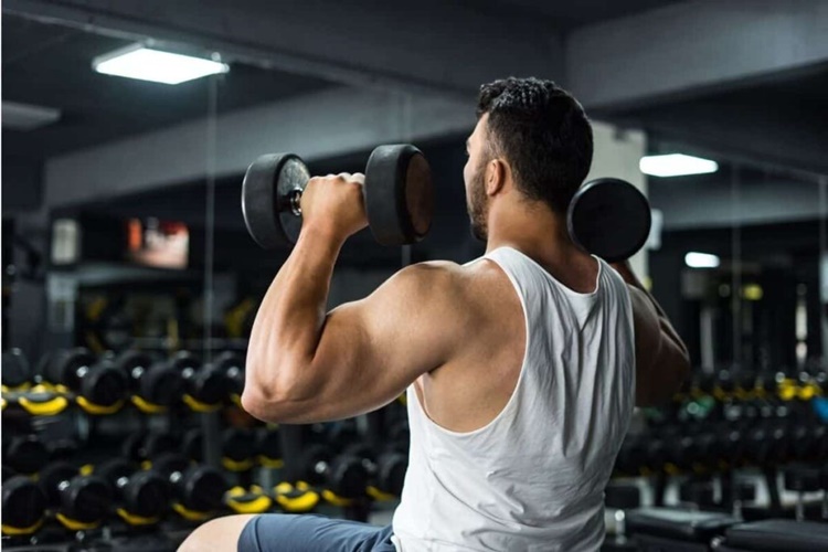 Dambıl İle Kanat Hareketleri Nelerdir? - Güncel Oku