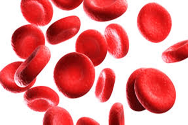 Demir Hapı Kullanırken Kabız Olmamak İçin Ne Yapmalı? - Güncel Oku