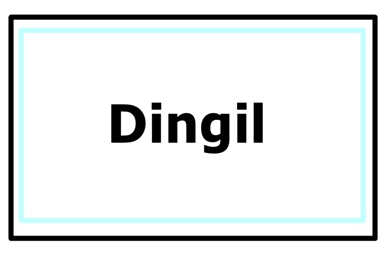 Dingil Argoda Ne Demek? - Güncel Oku