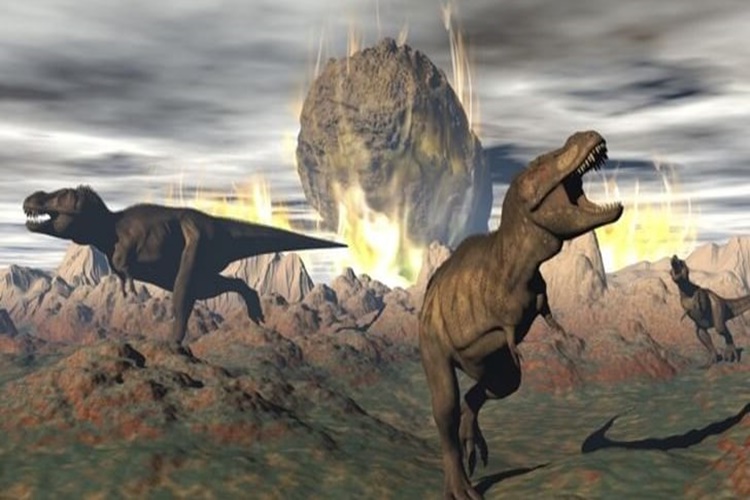 Dinozor Türleri Nelerdir? - Güncel Oku