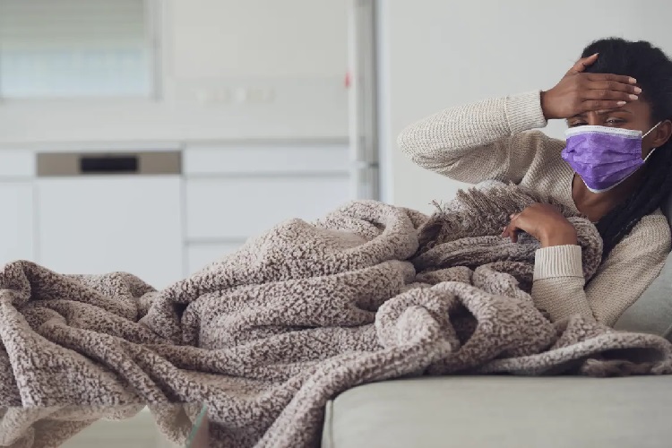 Domuz Gribi Insandan Insana Bulaşır Mı? - Güncel Oku