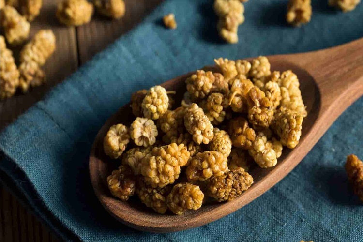 Dut Kurusu Enfeksiyona İyi Gelir Mi? - Güncel Oku