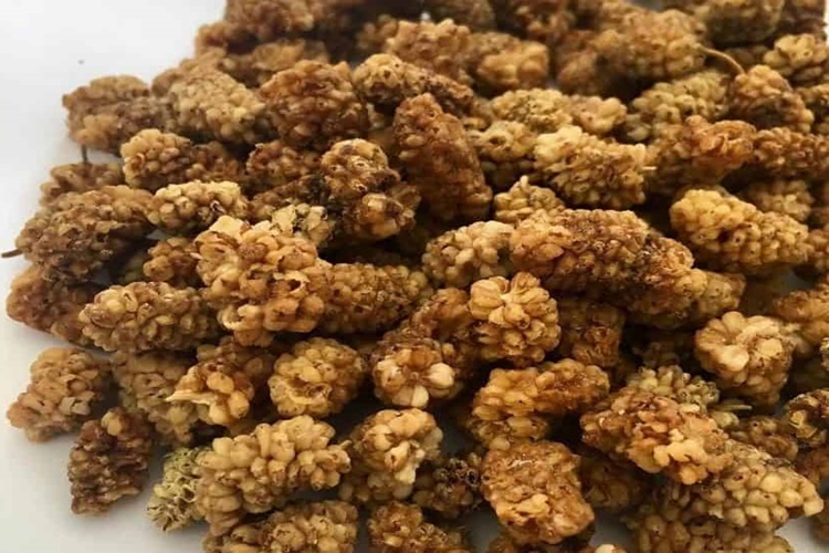 Dut Kurusu İle İlgili Merak Edilenler - Güncel Oku