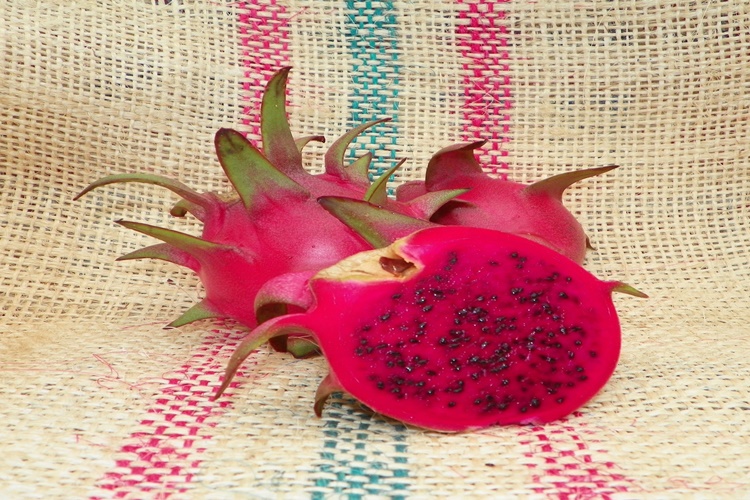 Ejder Meyvesi Ağacı Kaç Yılda Yetişir? - Güncel Oku