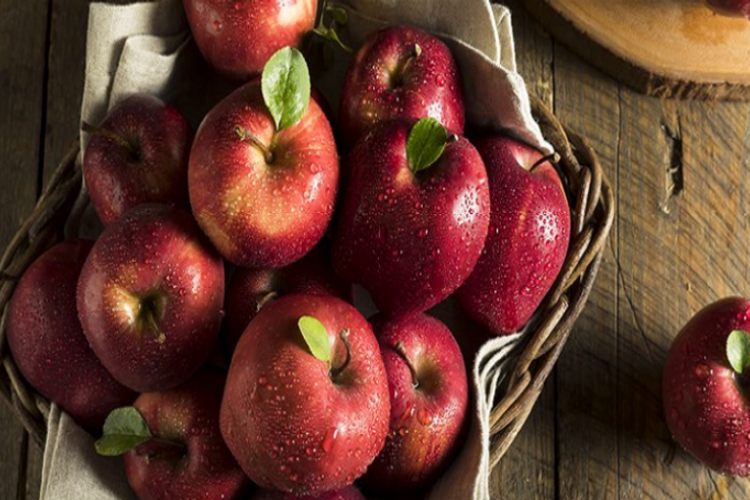 Elma Ağacı Ne Zaman Çiçek Açar? - Güncel Oku