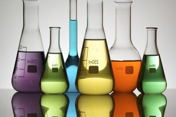 Erlen Nedir Özellikleri Nelerdir? - Güncel Oku