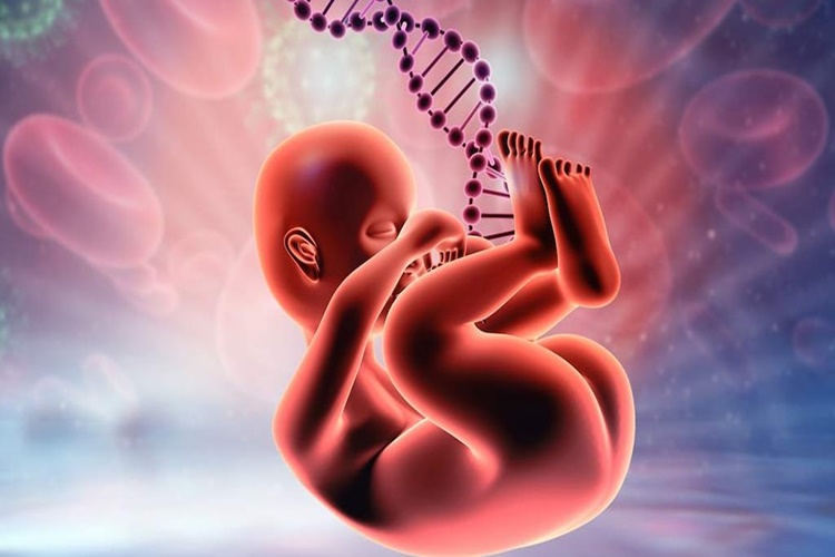 Fetal Dna Testi Kaçıncı Haftada Yapılır? - Güncel Oku