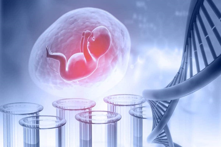 Fetal Dna Testi Neden Yapılır? - Güncel Oku