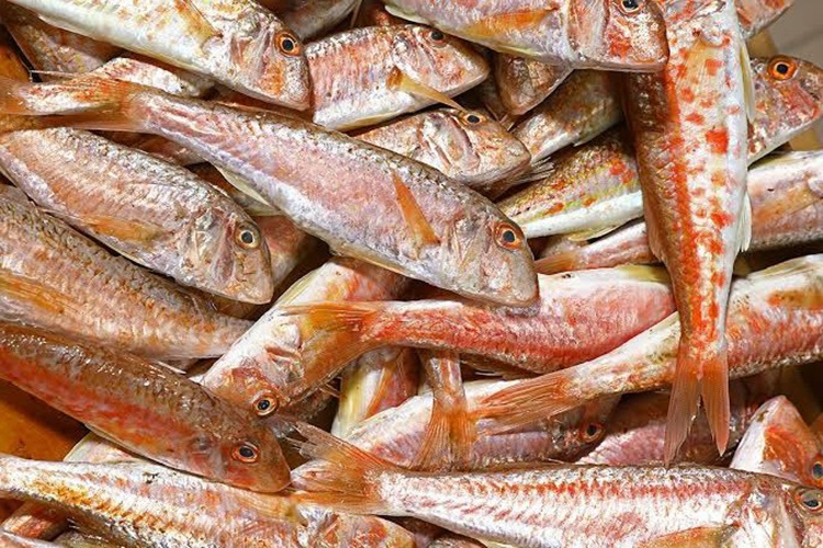 Fırında Tekir Balığı Nasıl Yapılır? - Güncel Oku