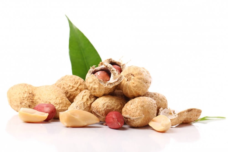 Fıstık Ağaçta Mı Yetişir? - Güncel Oku