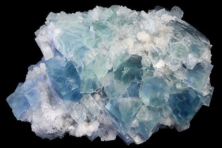 Flor elementinin Vücuttaki Görevi Nedir? - Güncel Oku