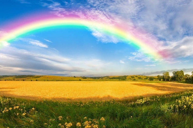 Gökkuşağı Havada Nasıl Duruyor? - Güncel Oku