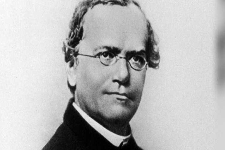 Gregor Mendel Kimdir? - Güncel Oku