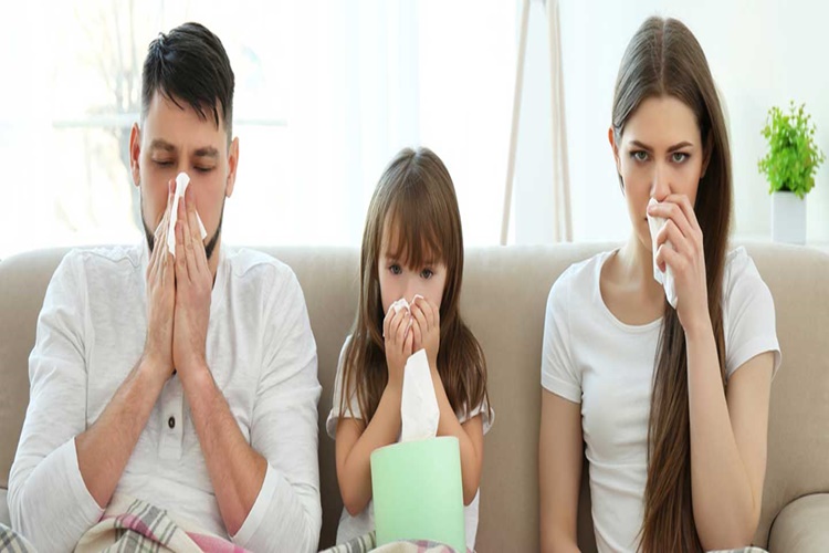 Gribo Cold Baş Ağrısına İyi Gelir Mi? - Güncel Oku