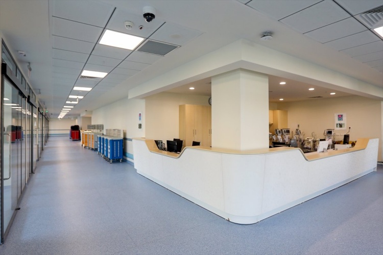 Hastane Randevusu Nasıl İptal Edilir? - Güncel Oku