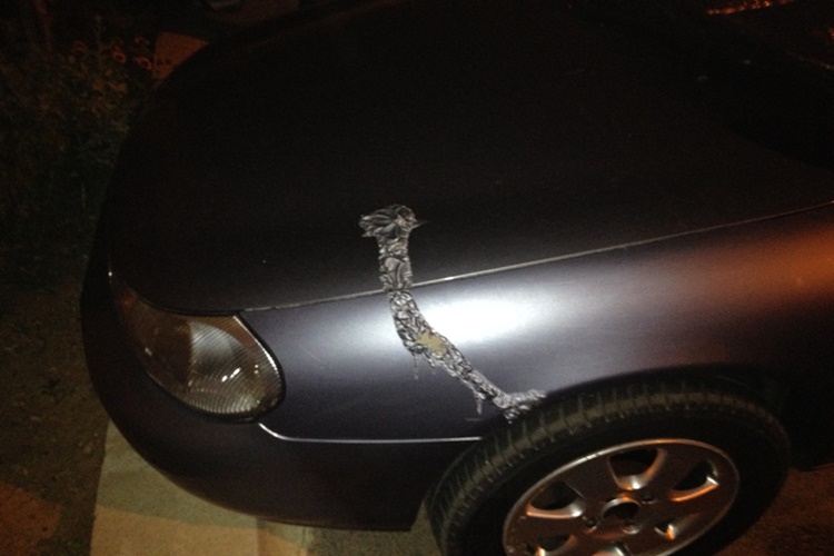 Hidrolik Yağı Boyaya Zarar Verir Mi? - Güncel Oku