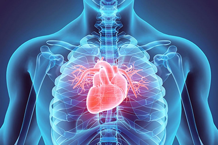 Infektif Endokardit Hastalığı Nedir? - Güncel Oku