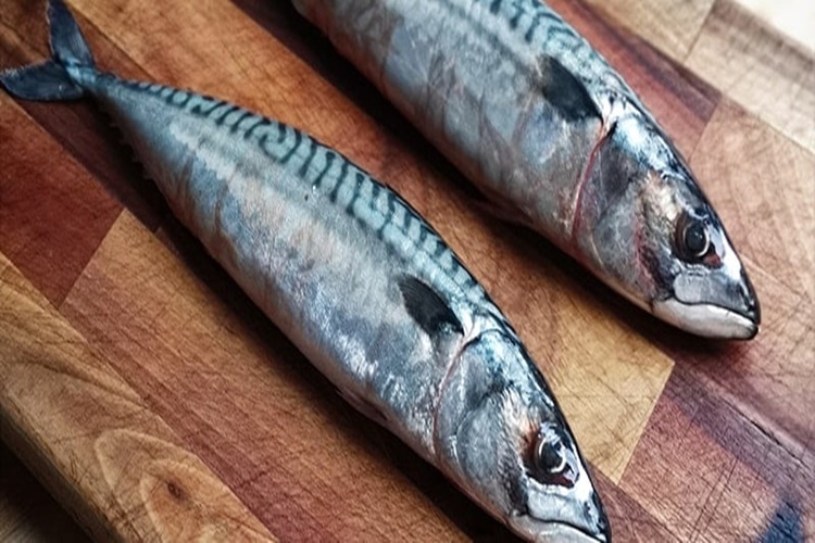 İstavrit Balığı Nasıl Ayıklanır? - Güncel Oku