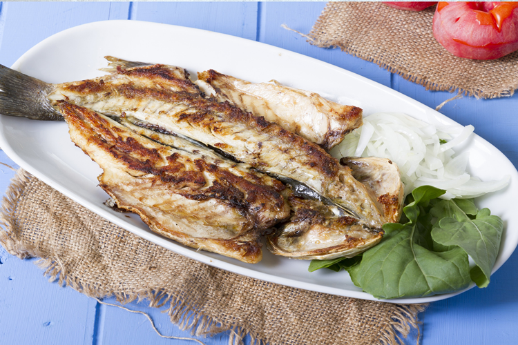 İzmarit Balığı Hamilelere Zararlı Mı? - Güncel Oku