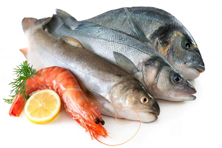 İzmarit Balığı Hangi Ayda Tutulur? - Güncel Oku